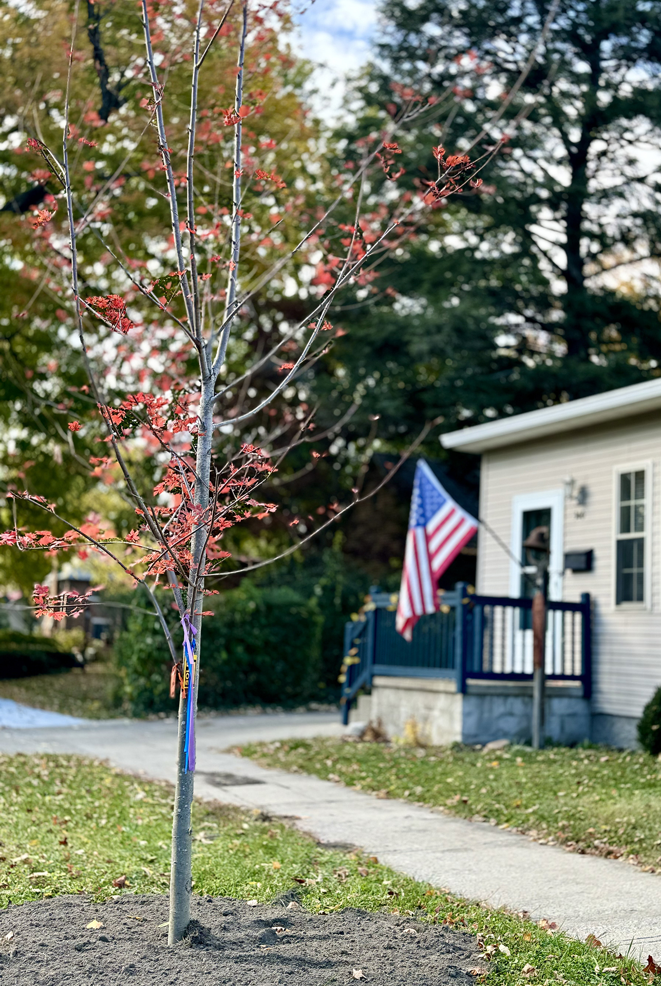 Beautify the future | morgancountycorrespondent.com